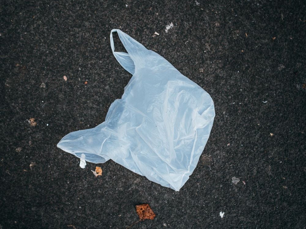 Worried About the Vermont Plastic Bag Ban? - Snow Farm Vineyard & Winery
