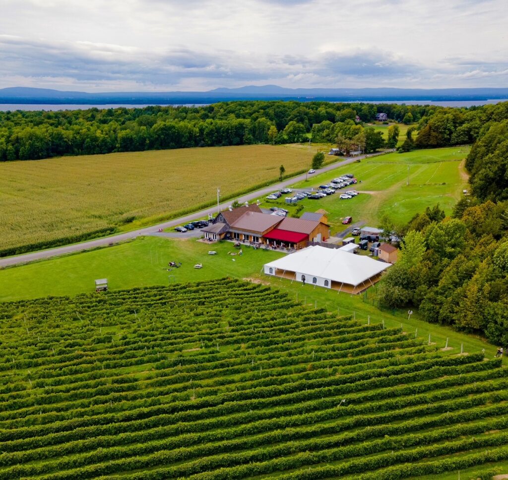 Sustainable Wine and the Importance of Tourism with Nick Lane - Snow ...